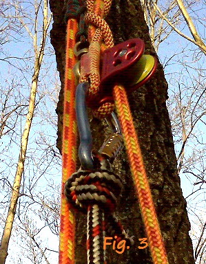 DMM hitch climber pulley, single attachment point - Tree Climbers ...