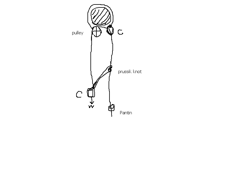 simple DRT climbing settings for easy climbing - Tree Climbers ...