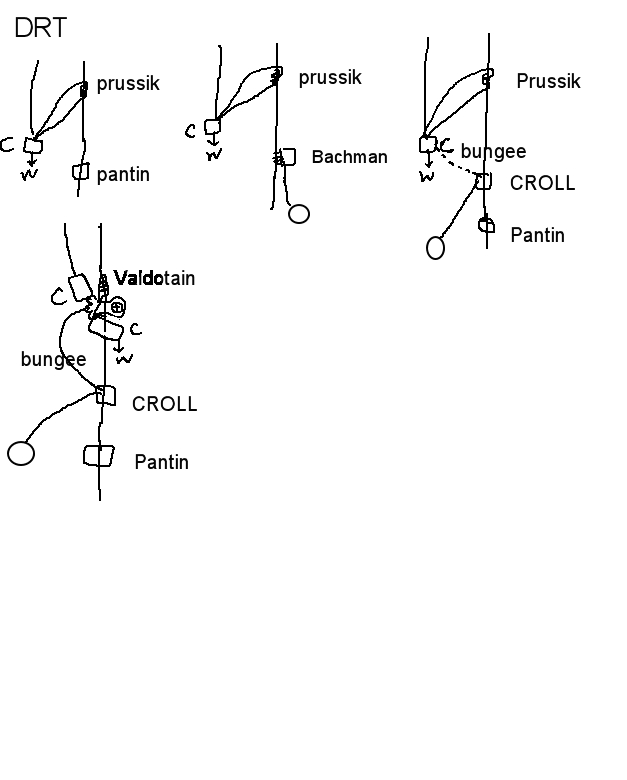 DRT systems - Tree Climbers International Forum - Tree Climbers ...